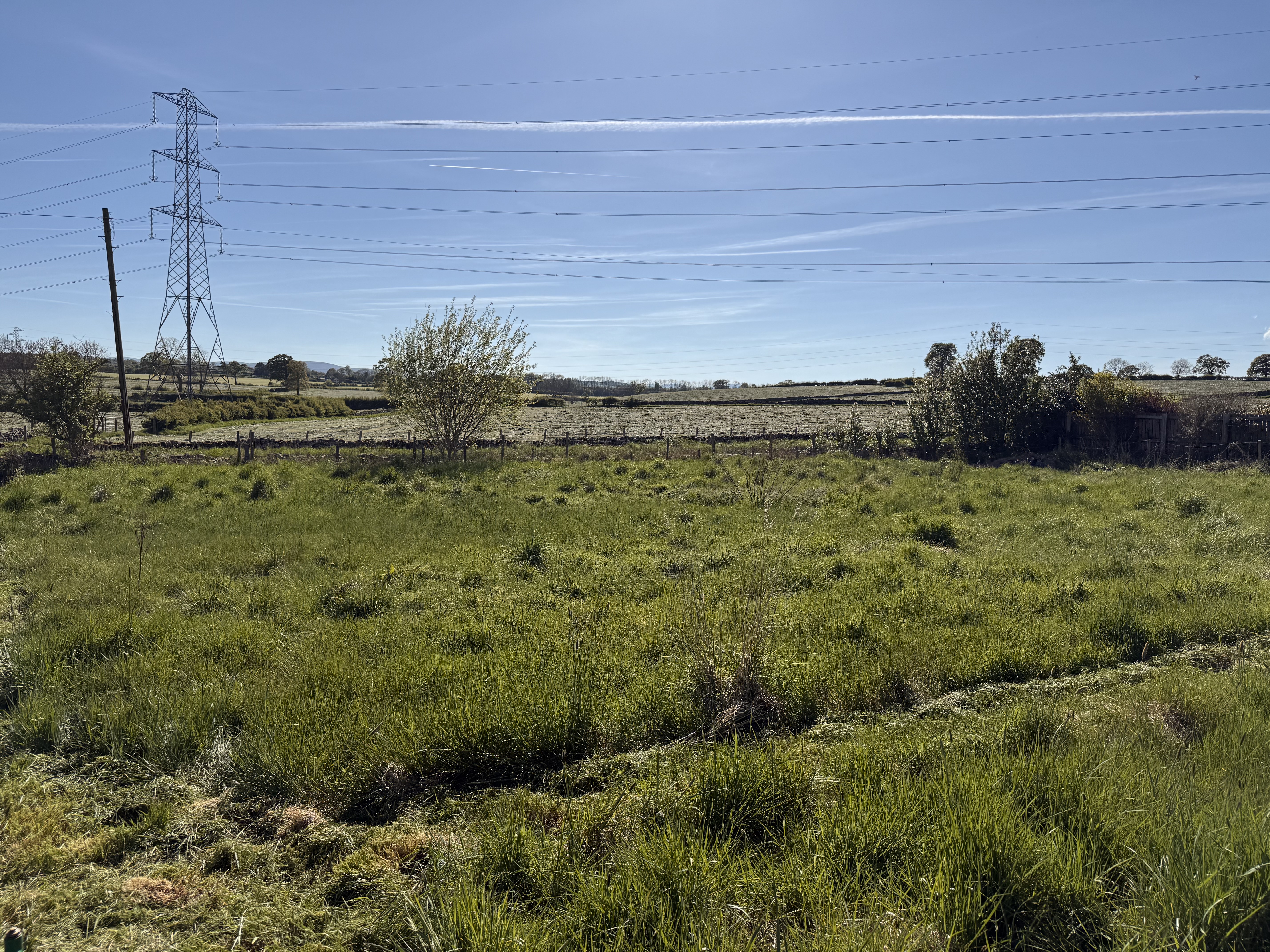 Paddock pain – A Garden, A House and the Life Between